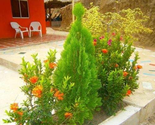 Otel Recuerdos Del Tayrona, , foto