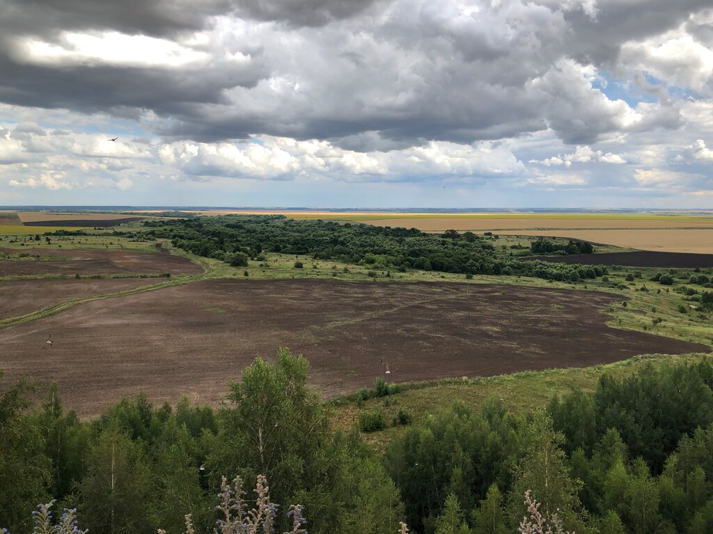 Dağ zirvesi Террикон шахты № 57, Riazanskaya oblastı, foto