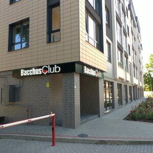 Bacchus club (Pogranichnaya ulitsa No:6), kafe  Zelenogradsk'tan