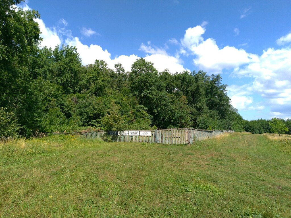 Mezarlıklar Суровское кладбище, Başkurdistan, foto