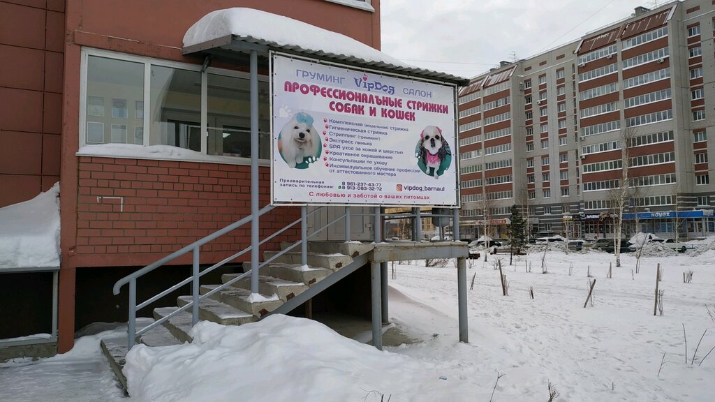 Evcil hayvan kuaförleri Vipdog, Barnaul, foto