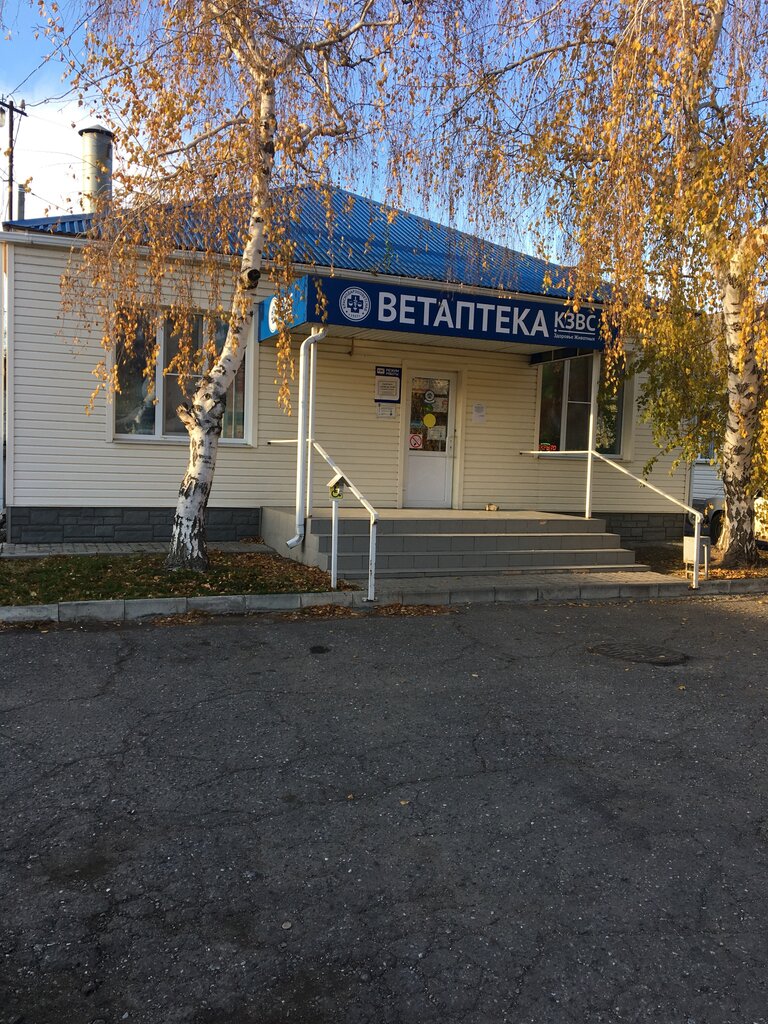 Veteriner klinikleri Кот и пес, Yeysk, foto
