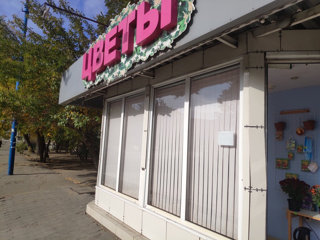 Çiçekçiler Tsvety, Voljski, foto