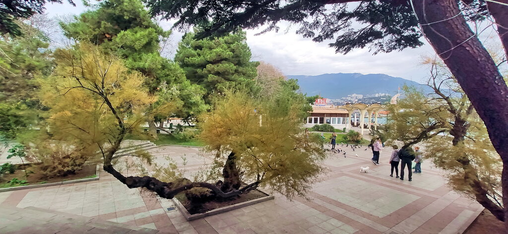 Dekorasyon ve süsleme, onur panosu Ялтинские зонтики, Yalta, foto