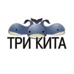 Trikita (Traktornaya ulitsa No:42), pencere üretim, satış ve montaj firmaları  Vladimir'den
