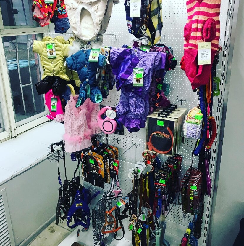 Petshop Zoo-shop Lapik, Borisov, foto