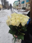 Ogorod57 (Zavodskaya ulitsa No:3, Mtsensk), sera ve bahçe ürünleri  Mtsensk'ten