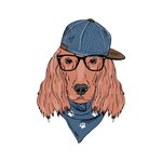 Zoosalon Joy (Shipilovsky Drive No:вл39к3А), evcil hayvan kuaförleri  Moskova'dan