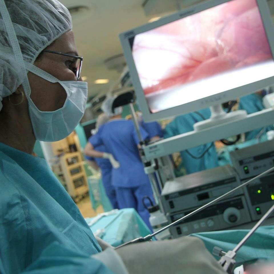 Danışmanlık hizmetleri Mondragon Alba Lucia, Cali, foto