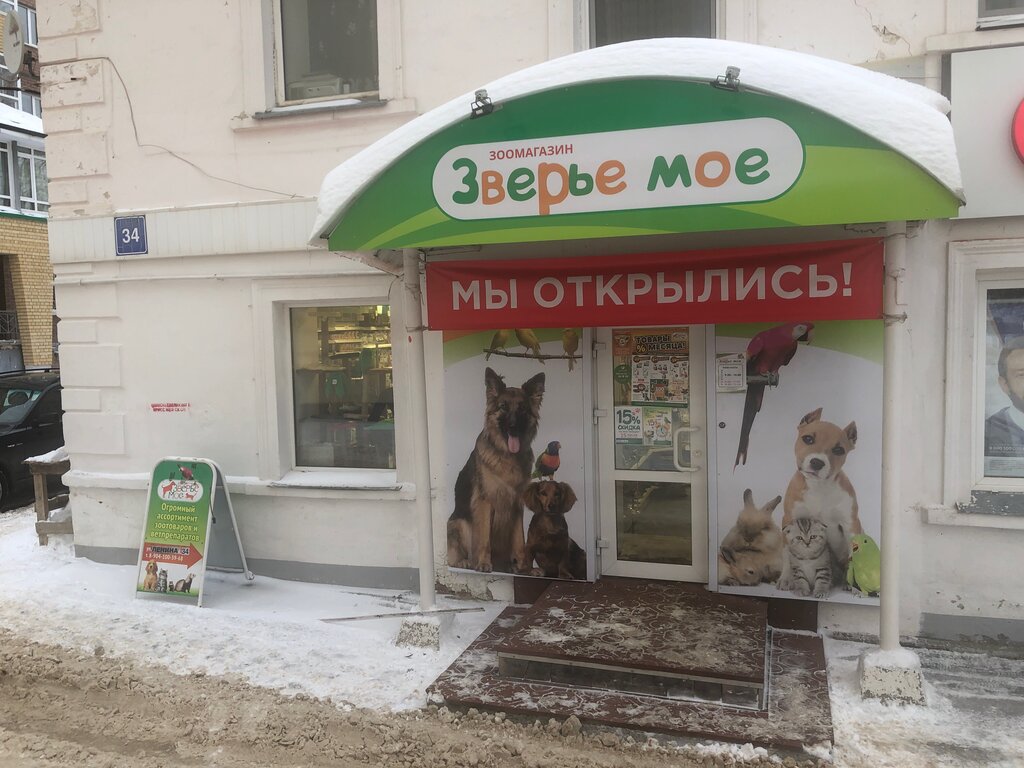 Petshop Зверье мое, Syktivkar, foto
