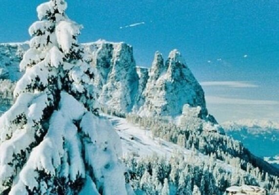 Oto kiralama Agenzia Viaggi Co. A. Ci-Noleggio Autobus e Minibus, Marche, foto