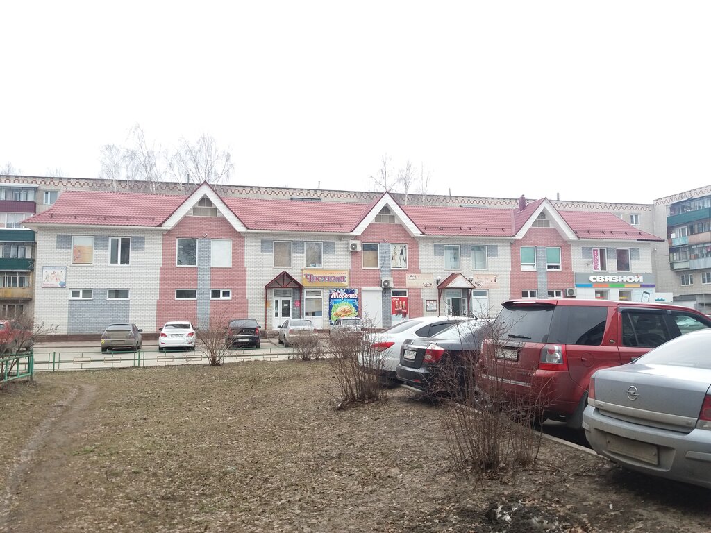 Ev temizlik ürünleri Чистюля, Vyksa, foto