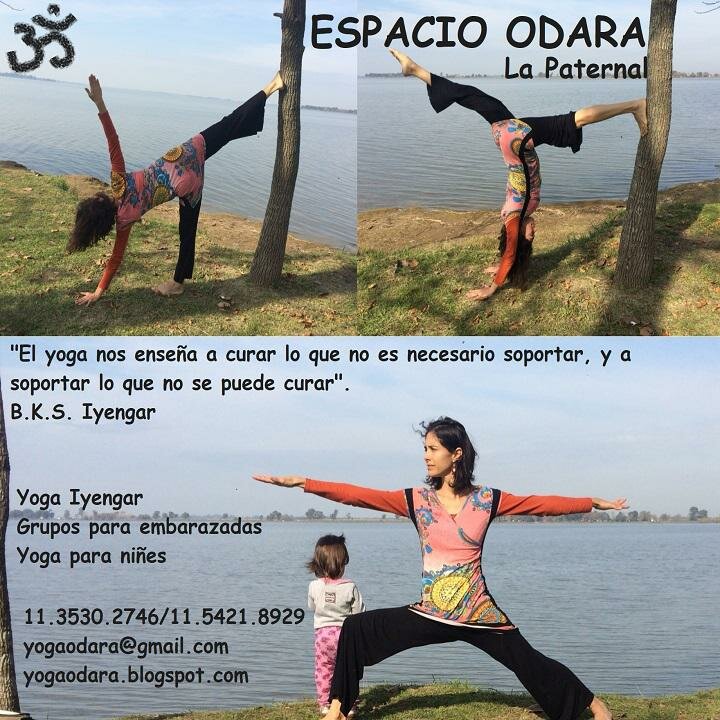 Yoga stüdyosu Espacio Odara Yoga, Buenos Aires, foto