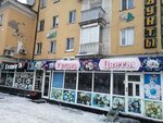 Mir cvetov (Şçors street No:74), çiçekçiler  Karağandı'dan