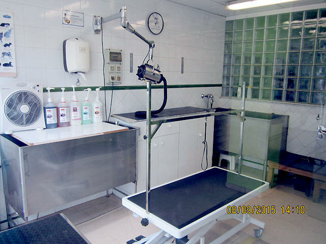 Veteriner klinikleri Centre Veterinari Terrassa, Katalonya, foto