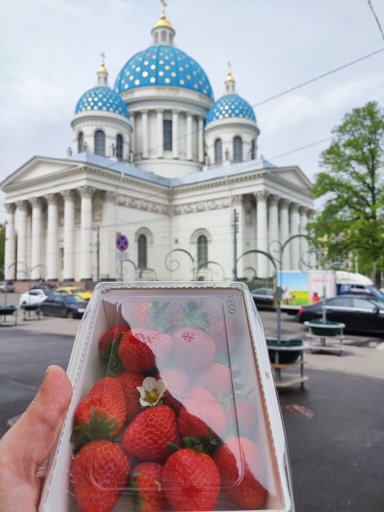 Tarım firmaları Strawberry from Peterhof, Peterhof, foto