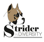 Strider in Diversity kennel (vulytsia Borysa Krotova No:46), evcil hayvan yetiştiricileri  Dnepropetrovsk'tan