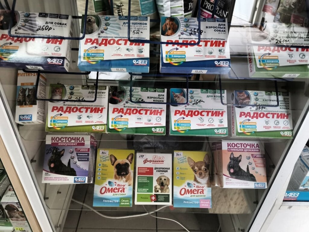 Petshop Мисс Кис-кис, Çeliabinsk, foto