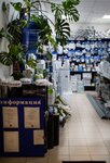 Оазис (Pomorskaya ulitsa No:15), klima satışı  Arhangelsk'ten