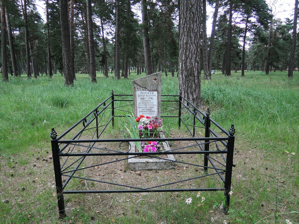 Anıt, heykel Партизану С.И. Матвееву, Seltso, foto