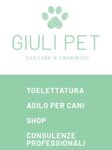 Giuli Pet Toelettatura (Via Salvatore Quasimodo No:24, Dueville), petshop  Vicenza'dan