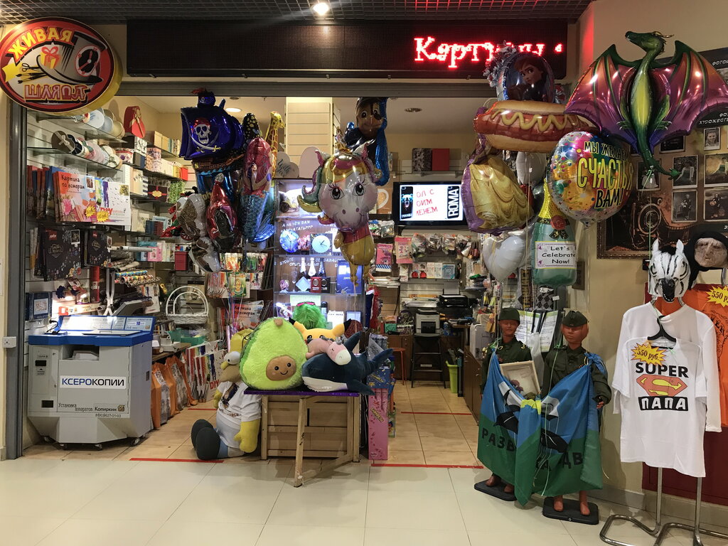 Fotoğraf hizmetleri Zhivaya Shlyapa, Voskresensk, foto