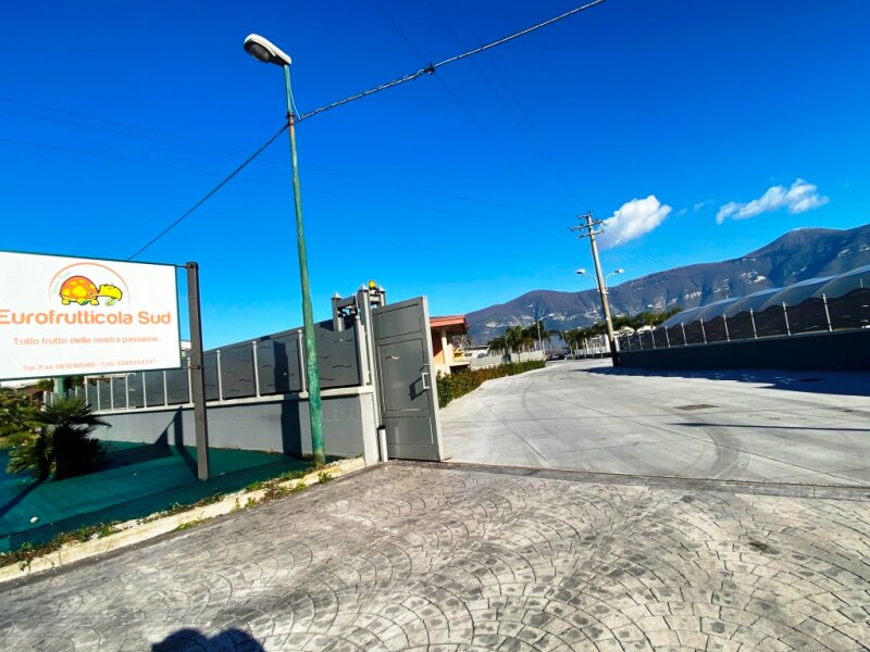 i̇thalat-ihracat firmaları Eurofrutticola Sud SAS, Campania, foto