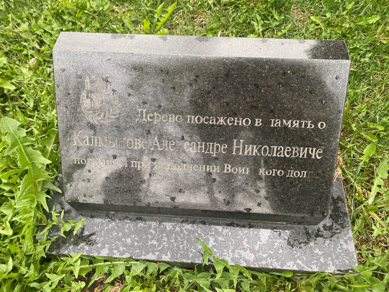 Anıt, heykel А.Н. Калмыков, Himki, foto