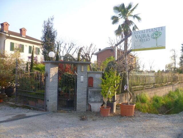 Peyzaj tasarımı Vivai Piante Vajra, Piyemonte, foto