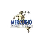 Investigazioni Mercurio - Indagini Patrimoniali (Via Guantai Nuovi No:1, Naples), finansal danışmanlık  Napoli'den