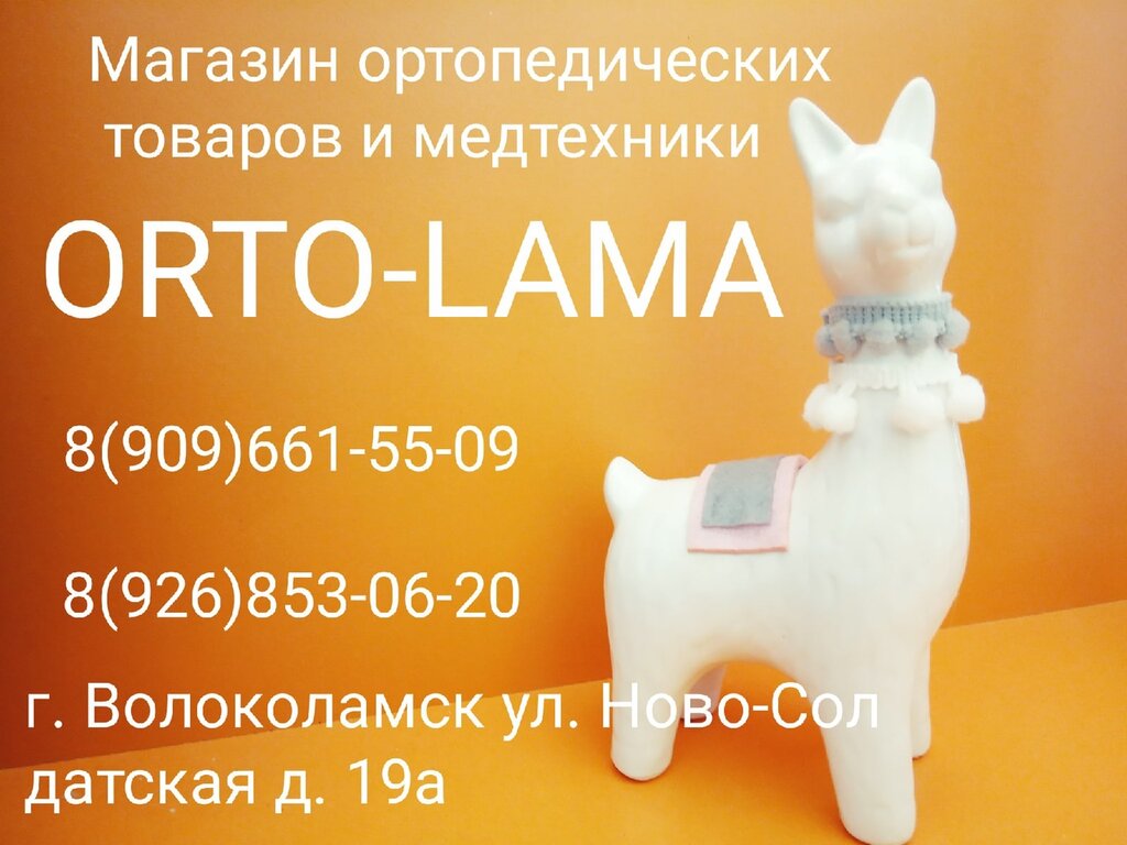 Ortopedik ürünler Orto-lama, Volokolamsk, foto