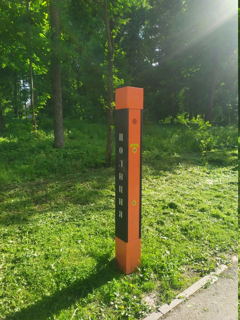 Arama kurtarma Police, Tula, foto