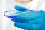 Biolab Guatemala (Region Metropolitana, Guatemala, Zona 12, Avenida Petapa, 36), güzellik salonu  Guatemala'dan