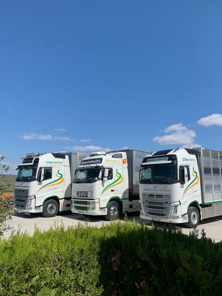 Hayvancılık Ganados Barpe S. L., Kastilya ve Leon, foto