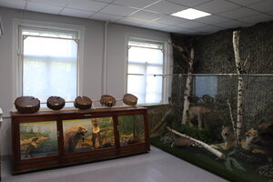 Altay State Museum of Local Lore (Krasnoarmeysky Avenue No:28/118, Barnaul), müzeler ve sanat galerileri  Barnaul'dan