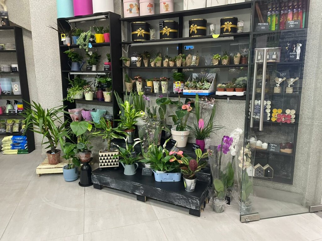 Çiçekçiler Cvetochnyj Ugolok, Balaşiha, foto