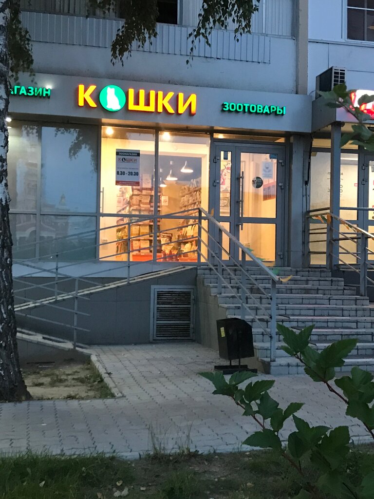 Petshop Кошки, Kazan, foto