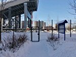 Спортивная площадка (Moscow Region, Krasnogorsk, Pavshinskaya Poyma Subdistrict, 3rd Subdistrict, Pavshinskaya Poyma Residential Complex), spor alanı  Krasnogorsk'tan