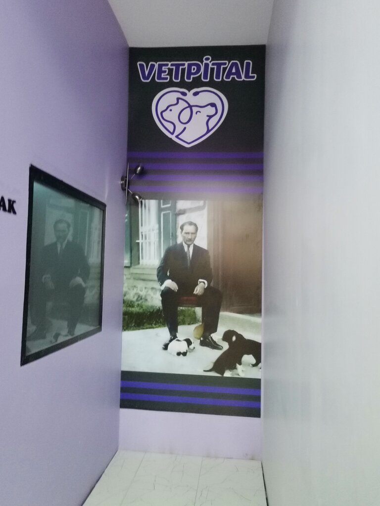 Veteriner klinikleri Lüleburgaz Vetpital Veteriner Kliniği, Lüleburgaz, foto