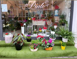 Pinto Fiori (Via Emilia Est No:79, Parma), çiçek teslimatı  Parma'dan