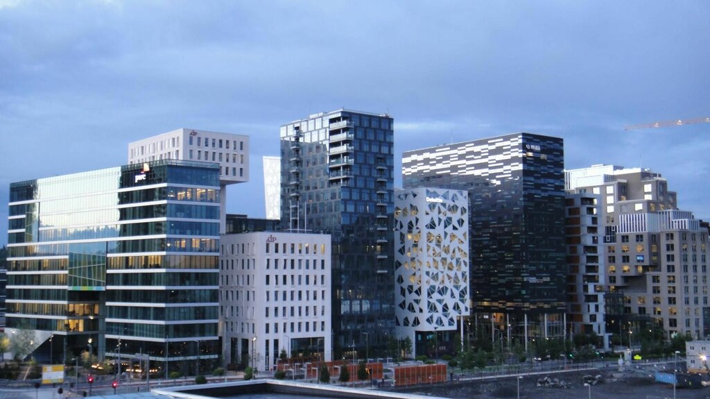 Emlak ofisi SP Shelpyakov Aleksandr Nikolaevich, Moskova, foto