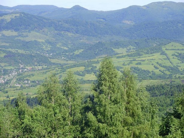 Otel LiAn Family Hotel & Restaurant, Zakarpatska oblastı, foto