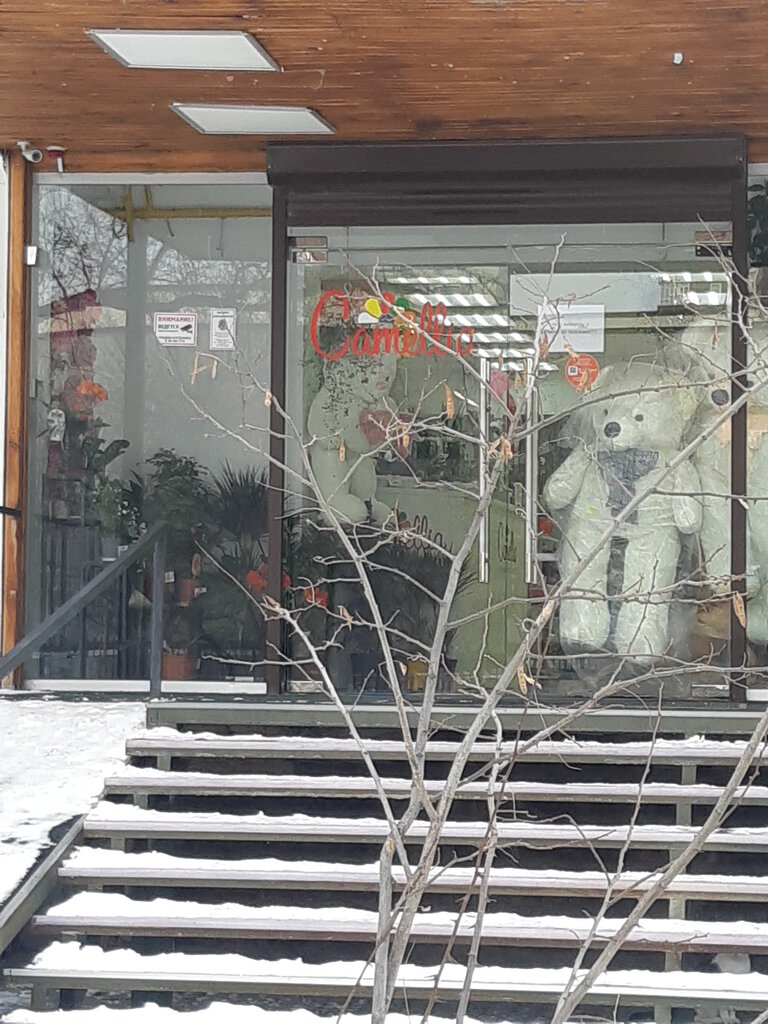 Çocuk oyunları ve oyuncakları Центр Цветов Camellia, Aktav, foto