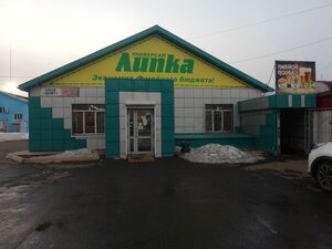 Пивной подвал (Irkutsk Region, Bratskiy rayon, Vikhorevskoye munitsipalnoye obrazovaniye, Vikhorevka, ulitsa Gorkogo), bira dükkanı  Vikhorevka'dan