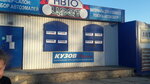 Автоцвет (ulitsa Mikusheva No:38), otomobil boyaları  Kungur'dan