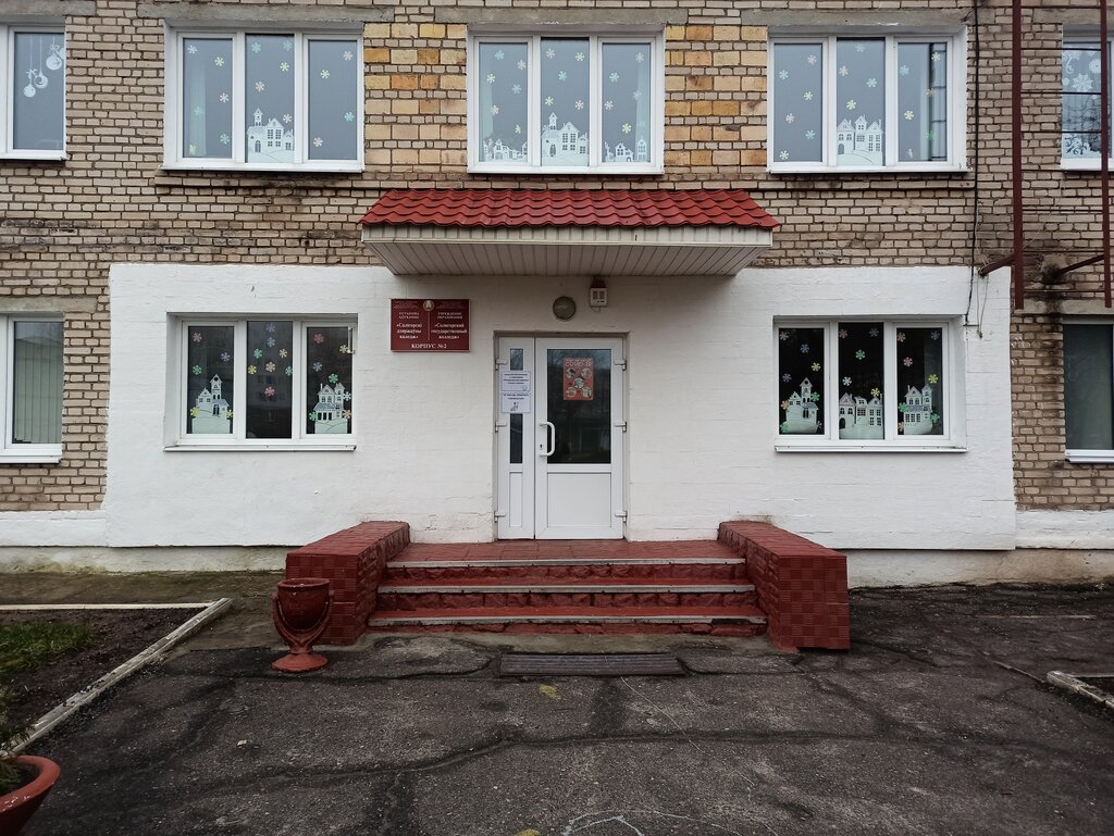 Yüksekokul Salihorski dziaržaŭny kaledž, Salihorsk, foto