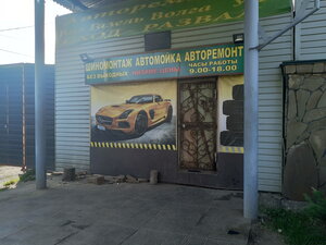Автосервис (Tambov Region, Michurinsk, mikrorayon Donskoye), otomobil servisi  Miçurinsk'ten