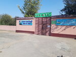 Kindergarten (Samarkand, Sattepo mavzesi), anaokulları  Semerkant'tan