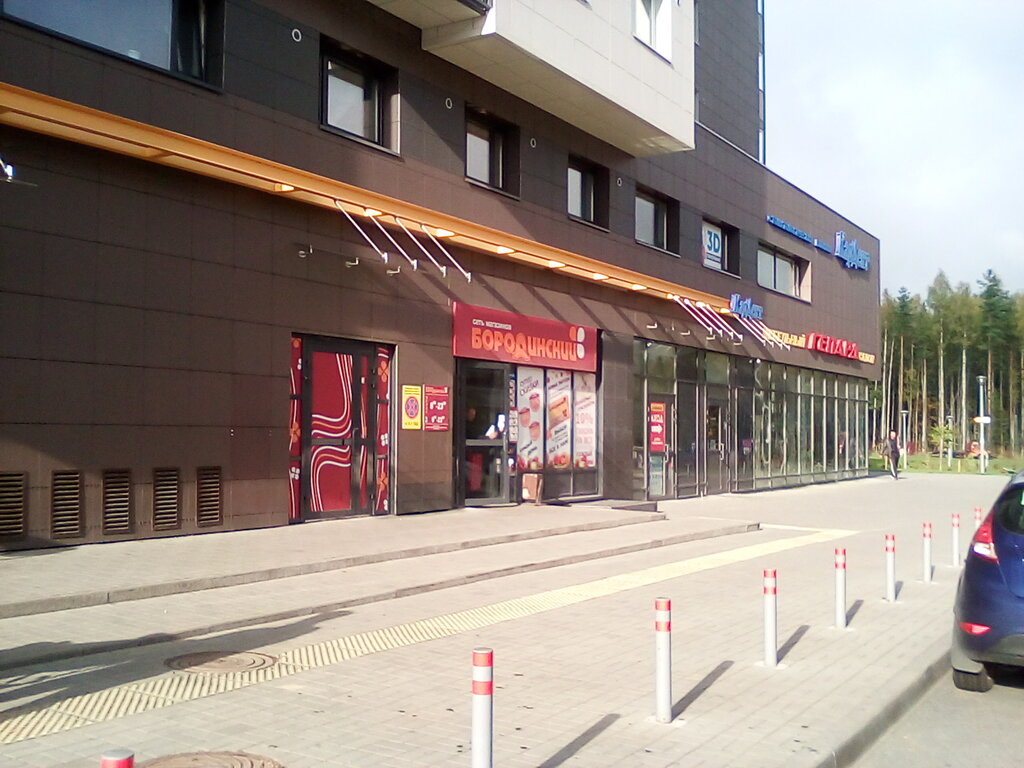 Süpermarket Бородинский, Petrozavodsk, foto