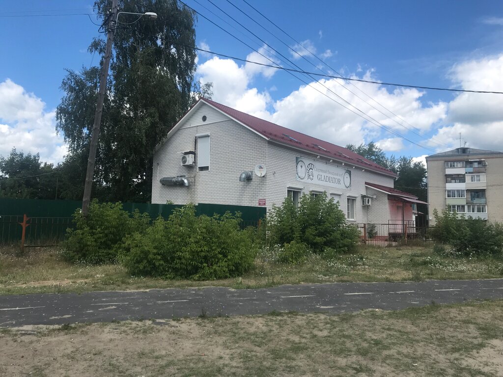 Çok amaçlı spor tesisleri Гладиатор, Gus‑Hrustalny, foto